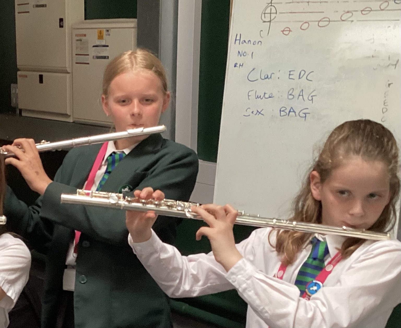 Castle Rock School launch Year 7 Instrumental Programme | Music Mark