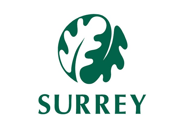 Help defend Surrey Arts as council considers future cultural strategy ...