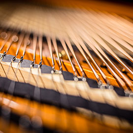 Music Mark | Leaders in High Quality Music Education